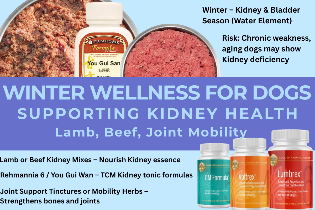 Winter Wellness for Dogs: Supporting Kidney Health with TCM – Marin Raw